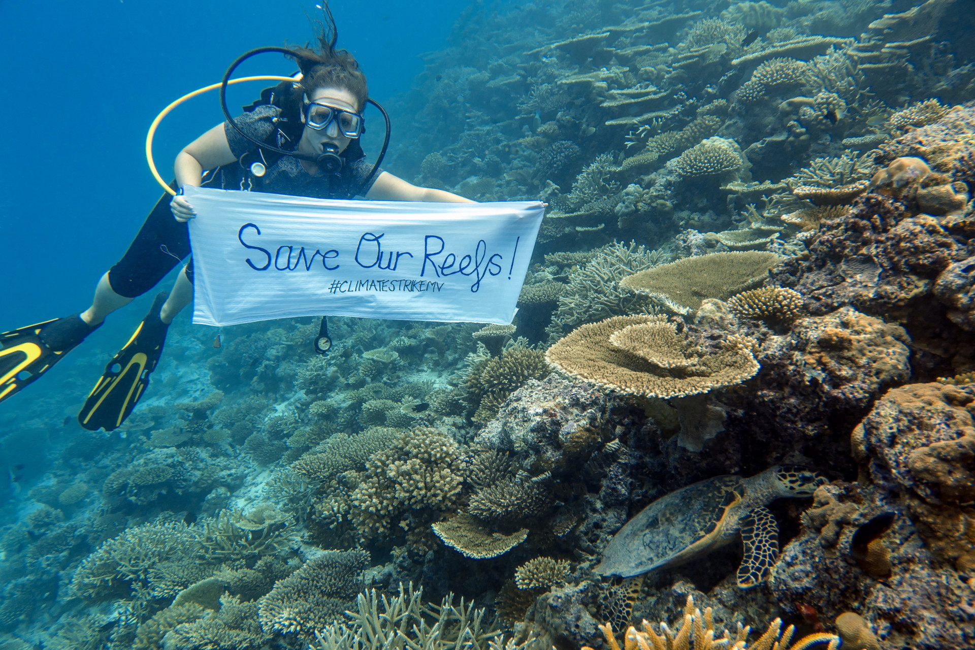 5 Ways You Can Celebrate PADI AWARE Week